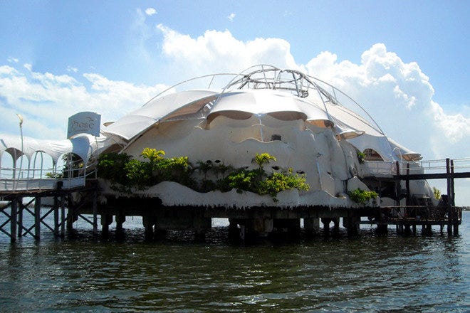 Basic is one of the best places to party in Cancún