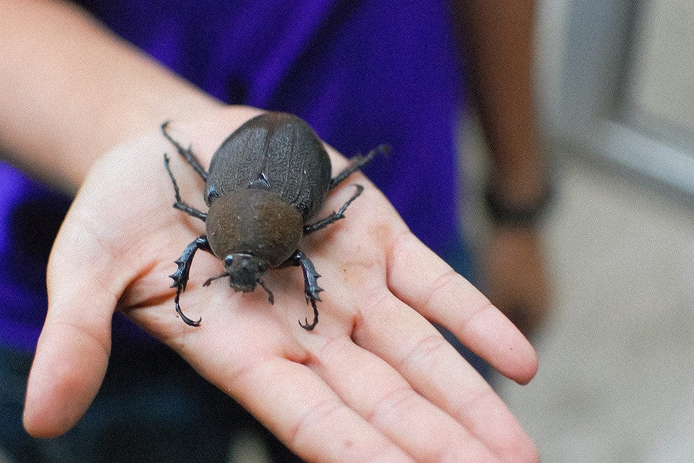 Costa Rica Museums: 10Best Museum Reviews