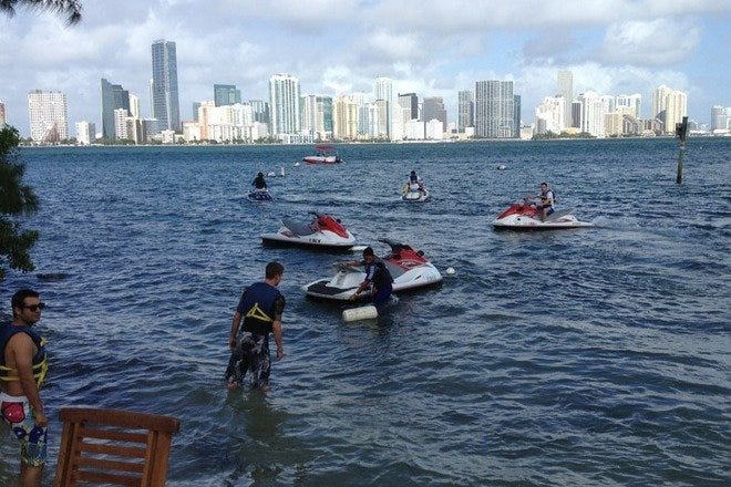 Miami Water Life Tours is one of the very best things to do in Miami