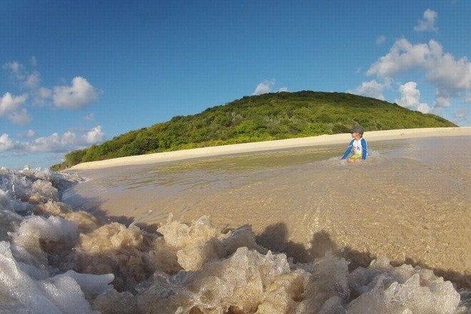 Buck Island Reef National Park is one of the very best things to do in ...