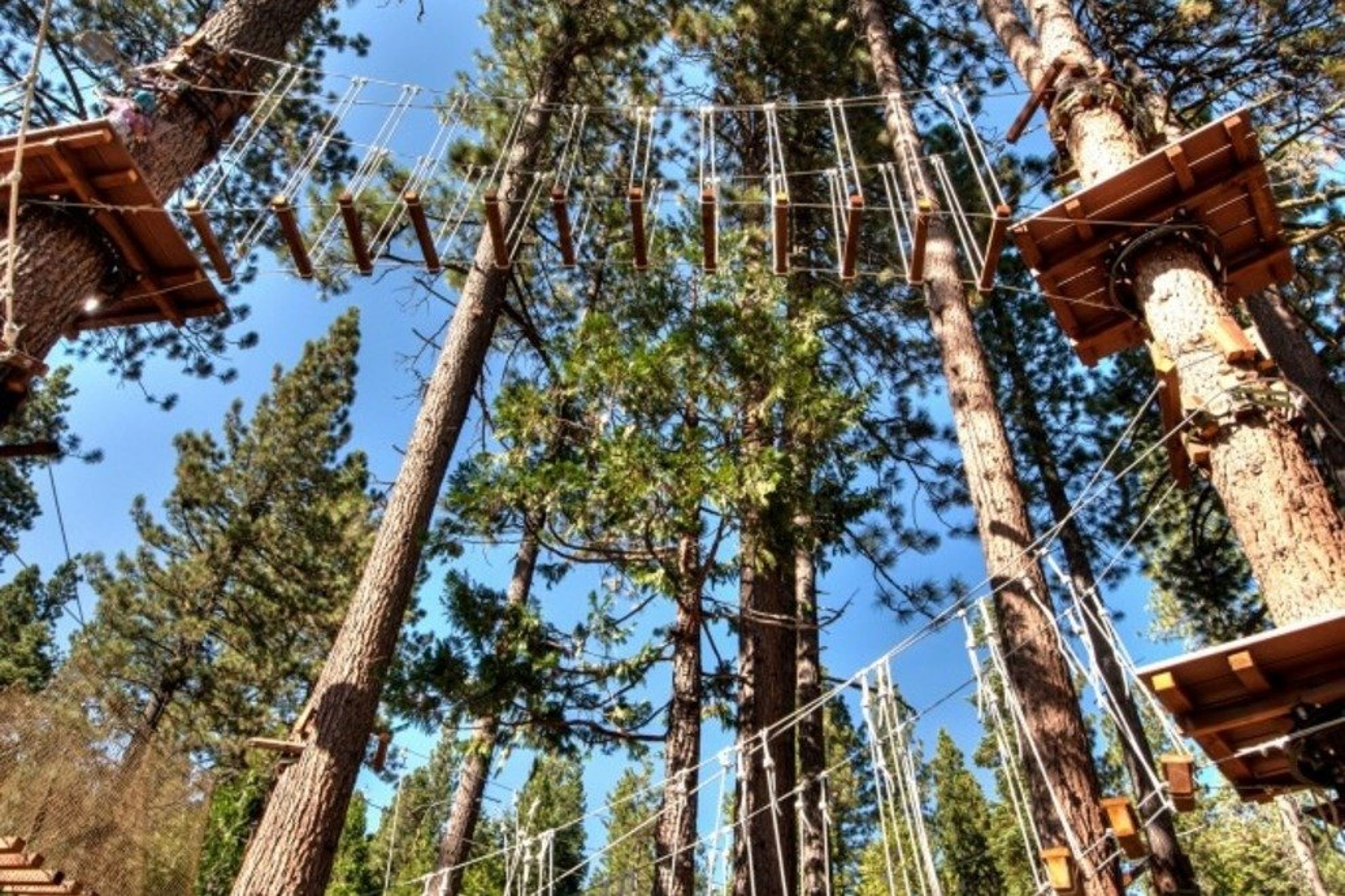 Tahoe Treetop Adventure Park: Zip Lining for the Whole Family