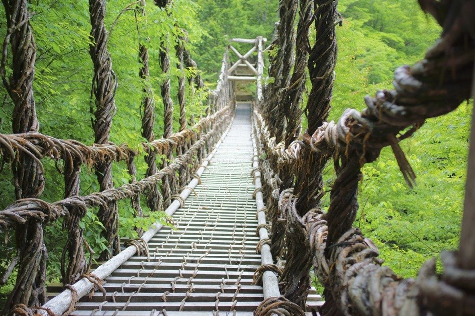 10 Most Terrifying Foot Bridges