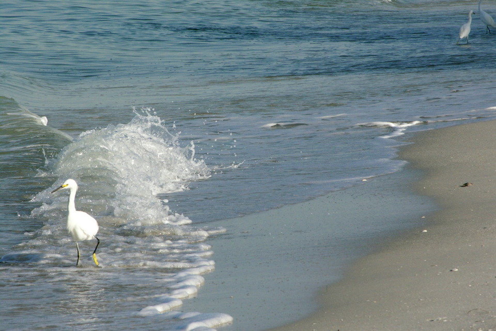 These are the best beaches near Naples - USA TODAY 10Best