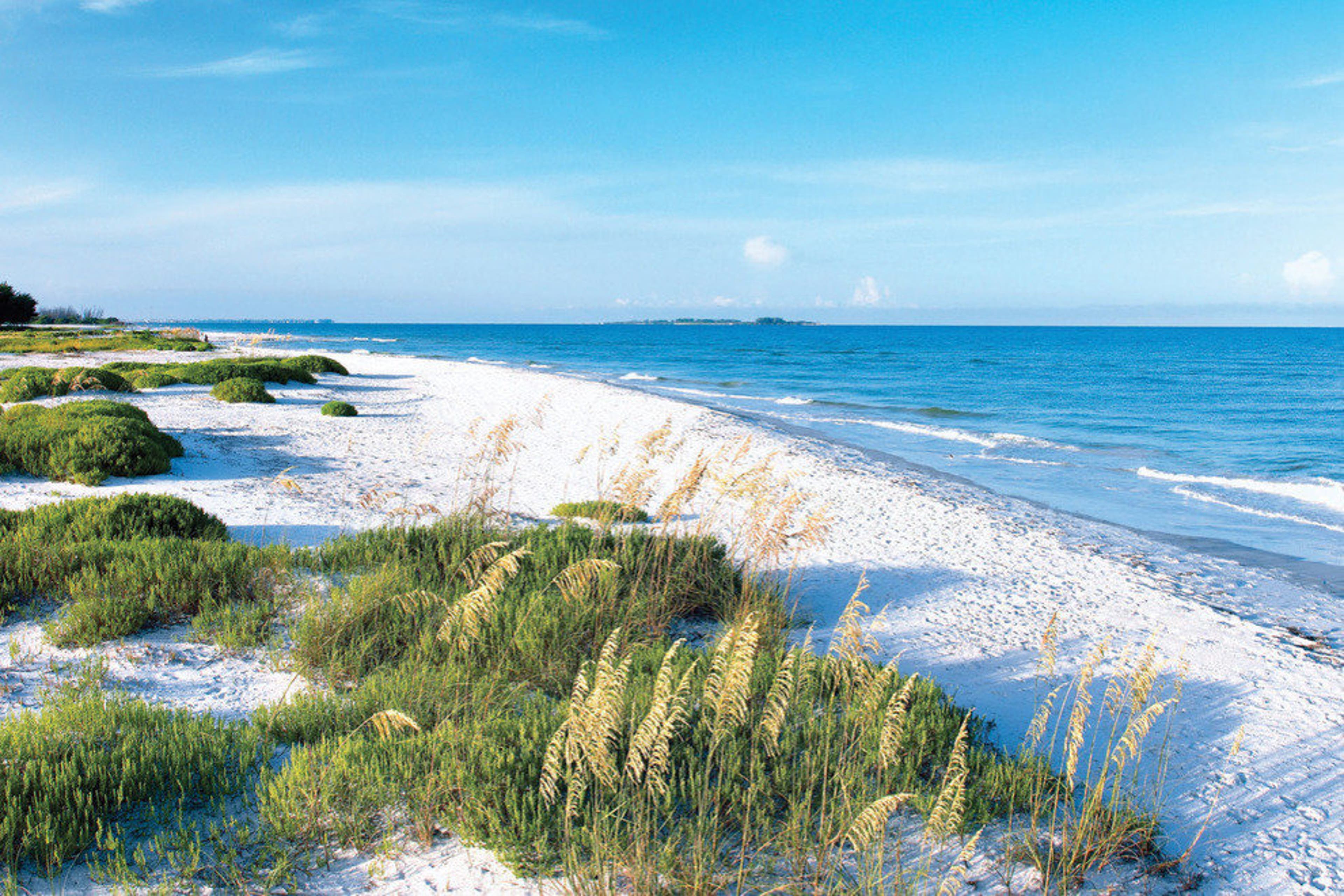 These are the best beaches near St. Petersburg / Clearwater - USA TODAY ...