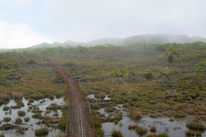 (dominion) how tf was there a swamp in snowy mountains : r/JurassicPark