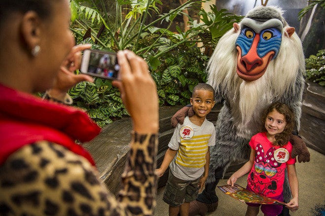 Disney's Animal Kingdom– Theme Park is one of the very best things to ...