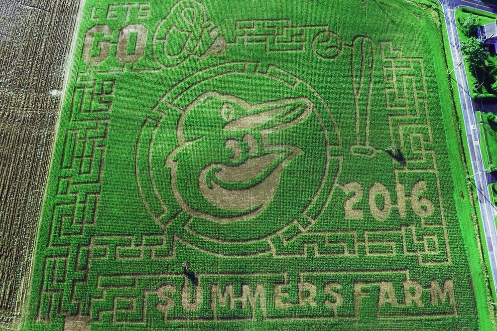 Corn Maze Pumpkin Patch Baltimore - nefilecloud