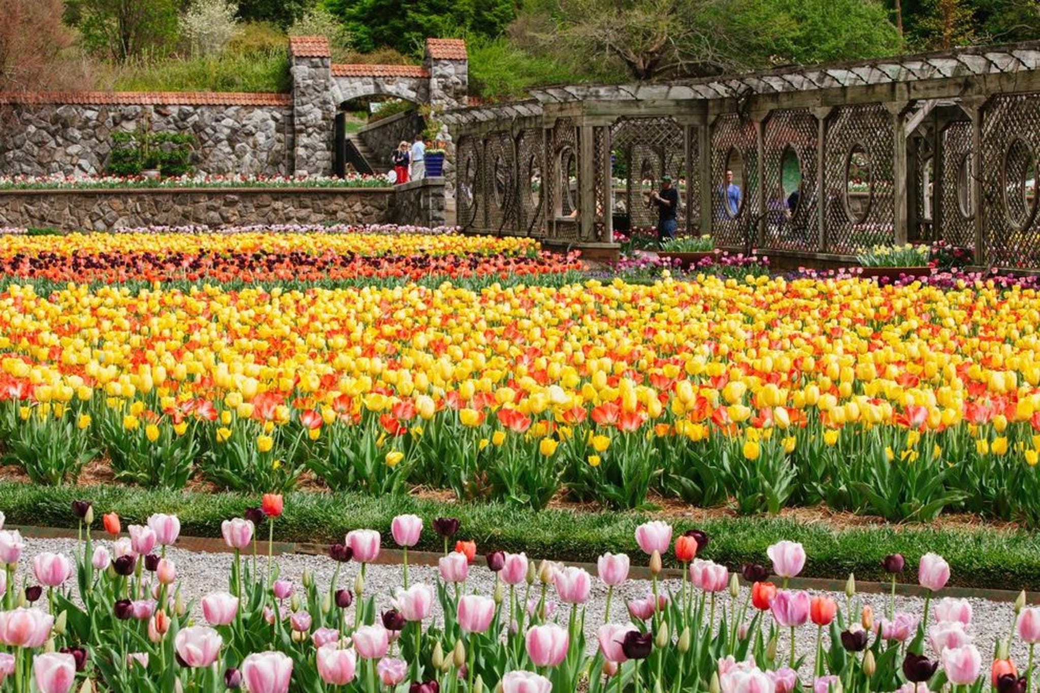 How to create a beautiful garden like the Biltmore Estate