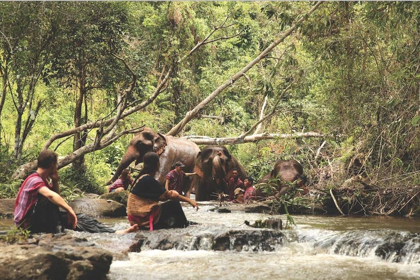 10 ethical places you need to go to interact with elephants