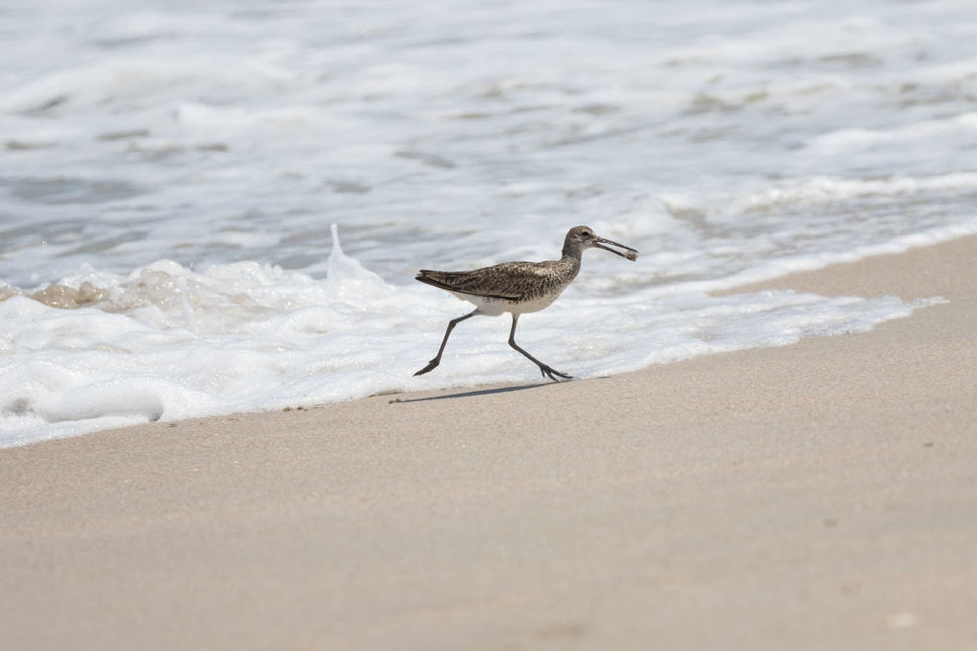 These 10 uncrowded Atlantic beaches are perfect for summer