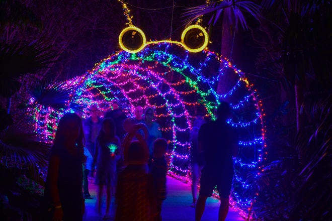 10 best botanical garden holiday lights events in 2022