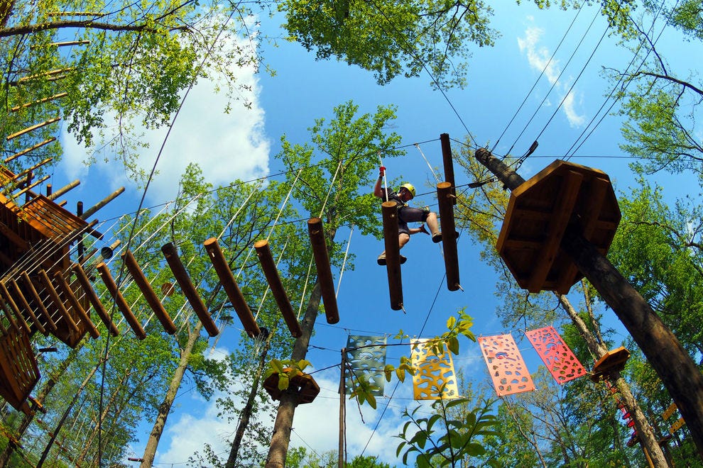 Best Aerial Adventure Park Winners (2020) | USA TODAY 10Best