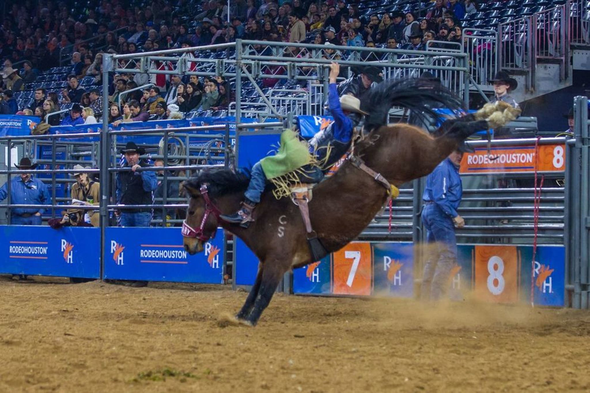 Houston Livestock Show and Rodeo