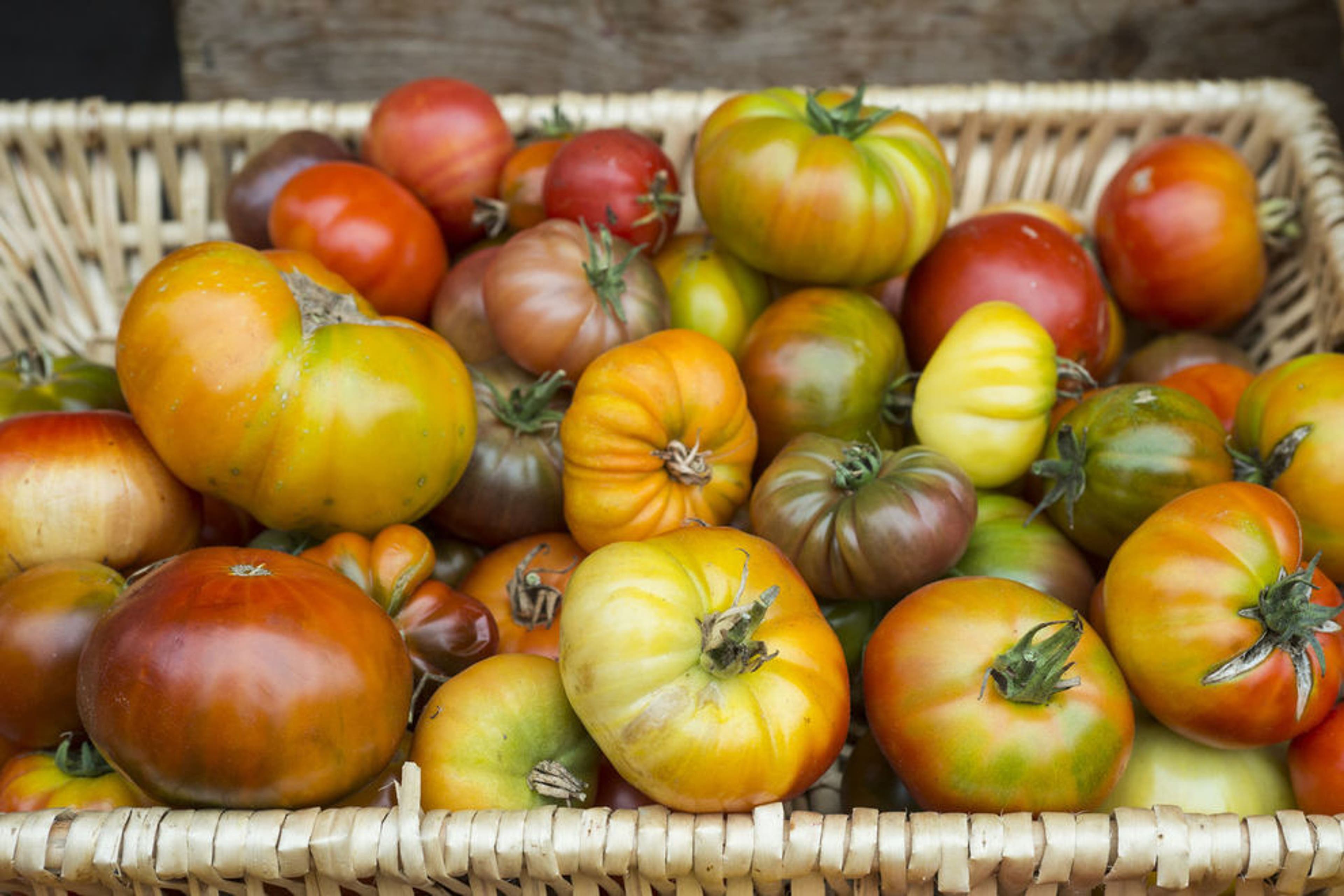 What actually makes an heirloom tomato 'heirloom'?