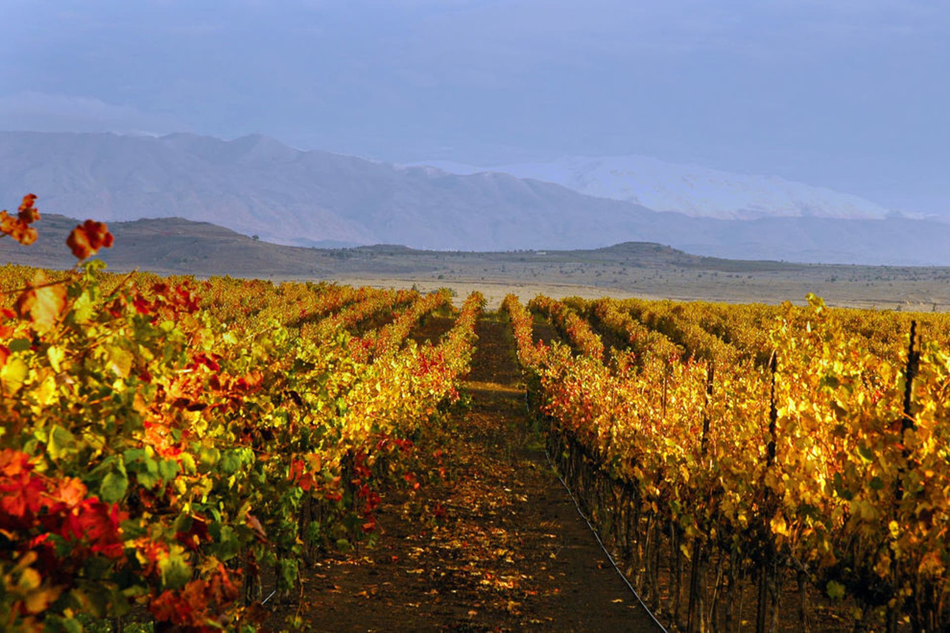 See Israel on this short virtual tour