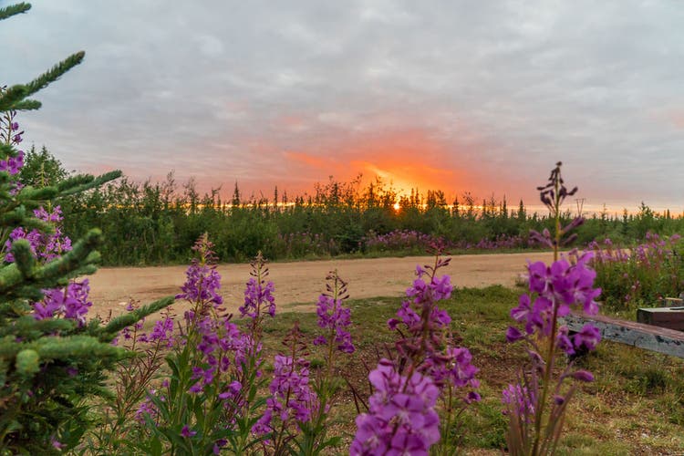 Explore Churchill, Manitoba on this virtual tour