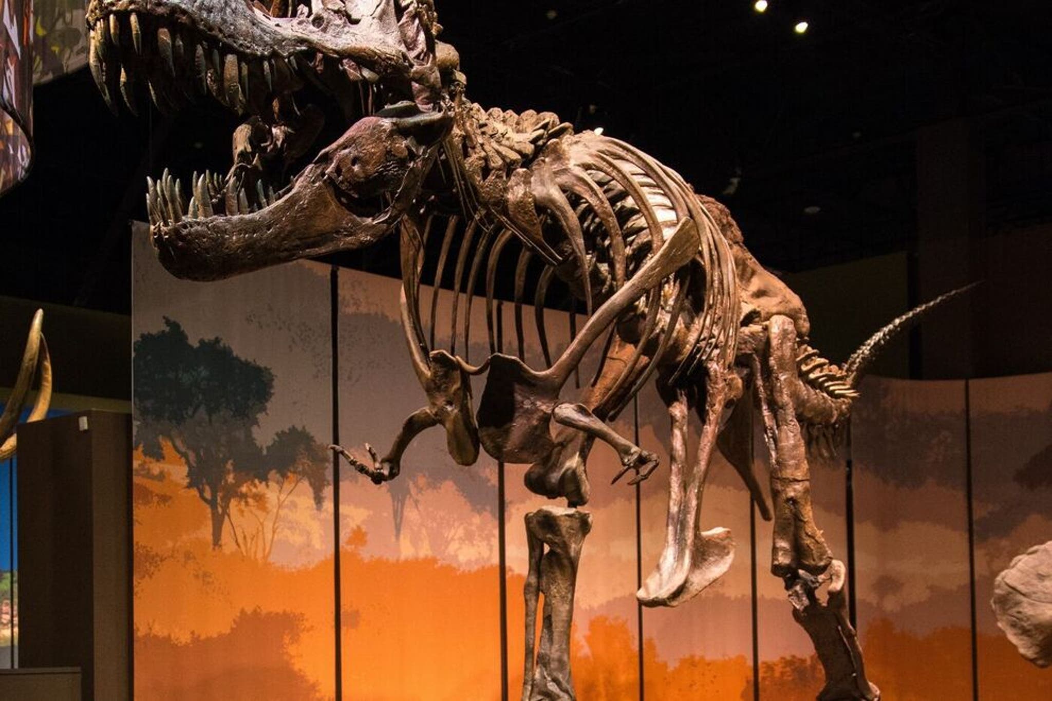 10 best science museums in the US for curious minds