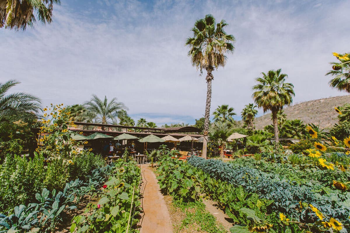 No. 1: Flora's Field Kitchen