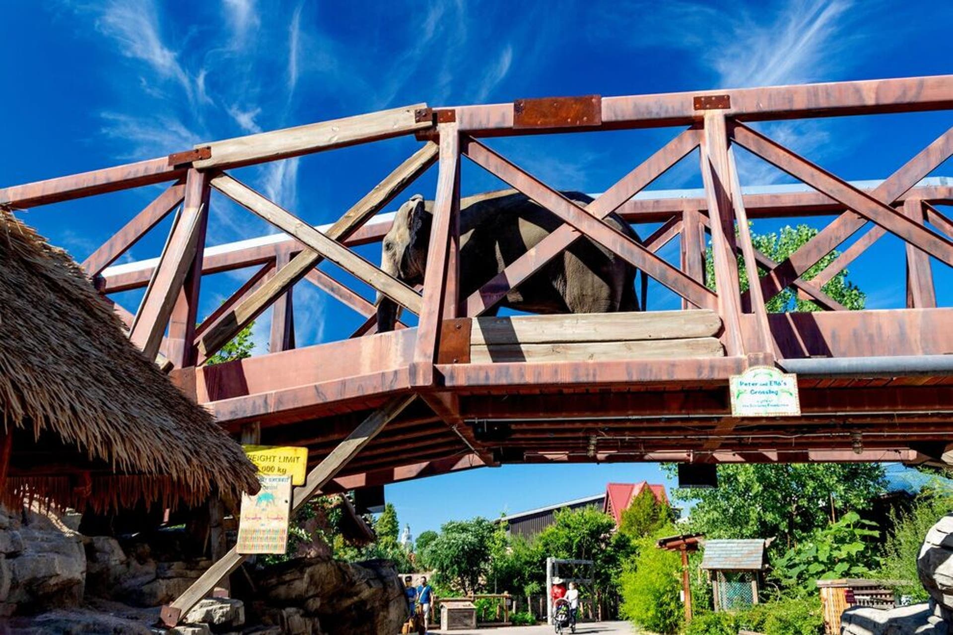 10 best zoo exhibits across the US that you can't miss