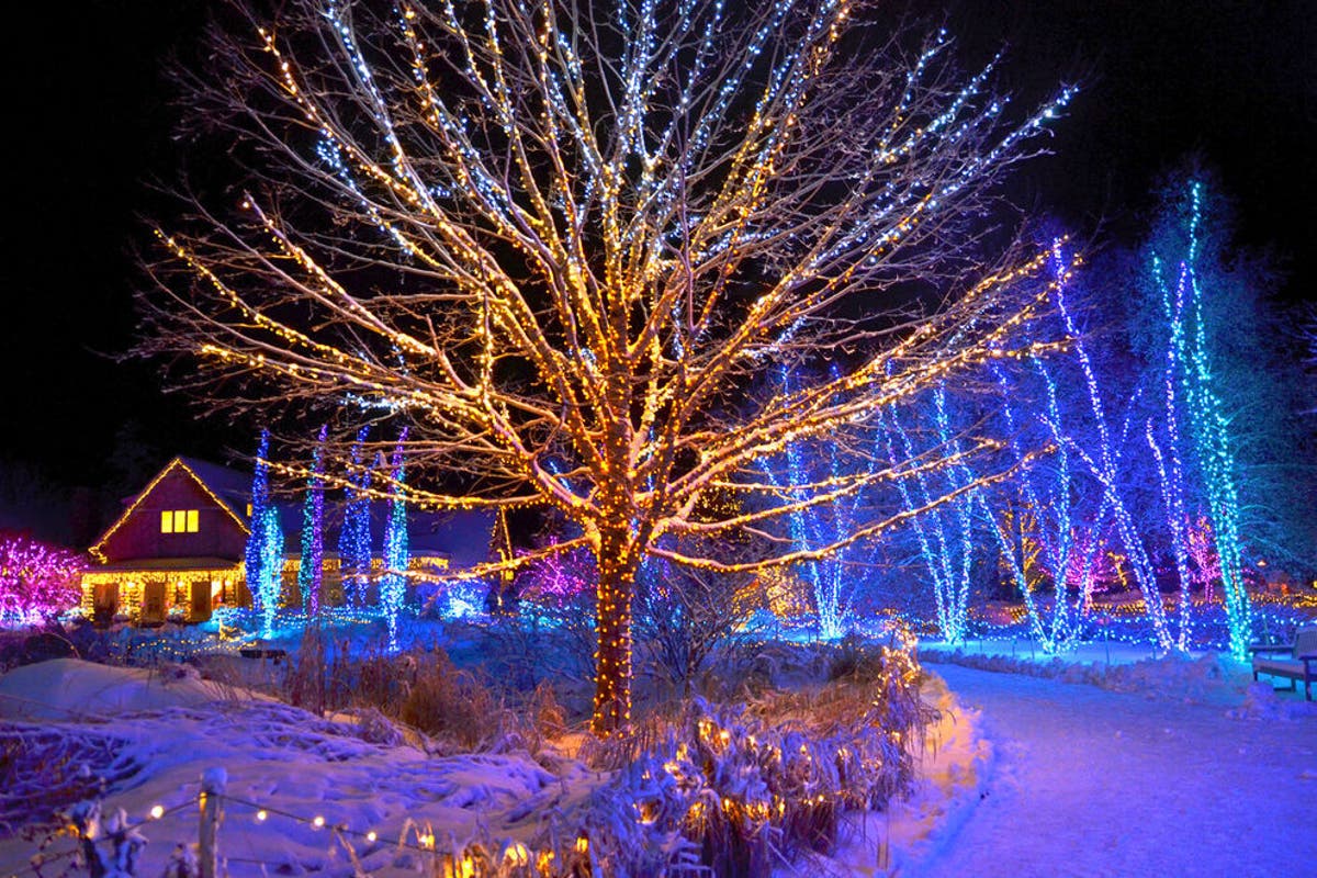 10 best botanical gardens with holiday lights to visit in 2024