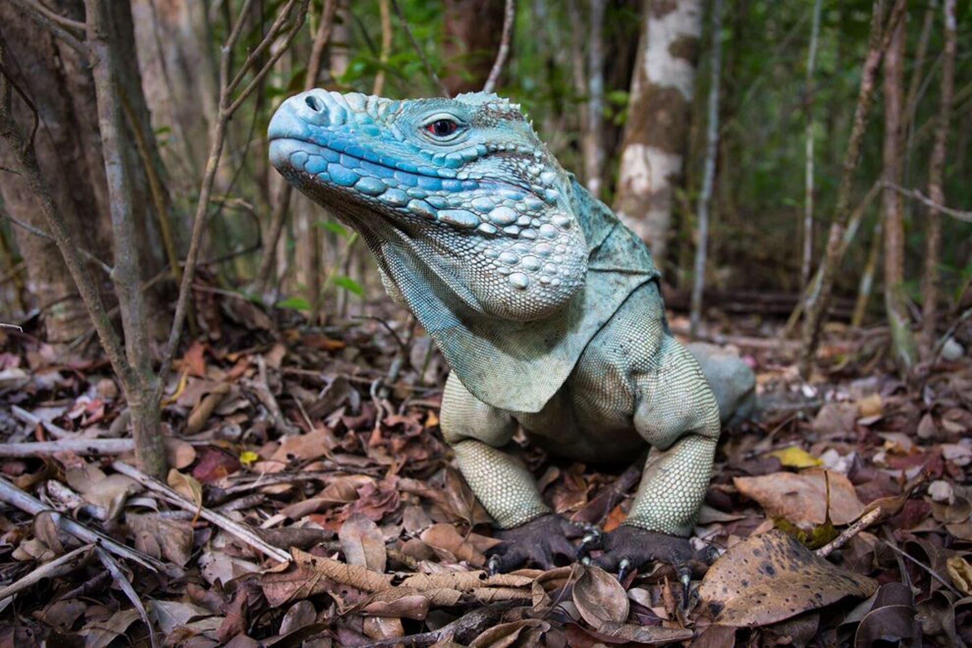 10 best things you must do on Grand Cayman in the Caribbean