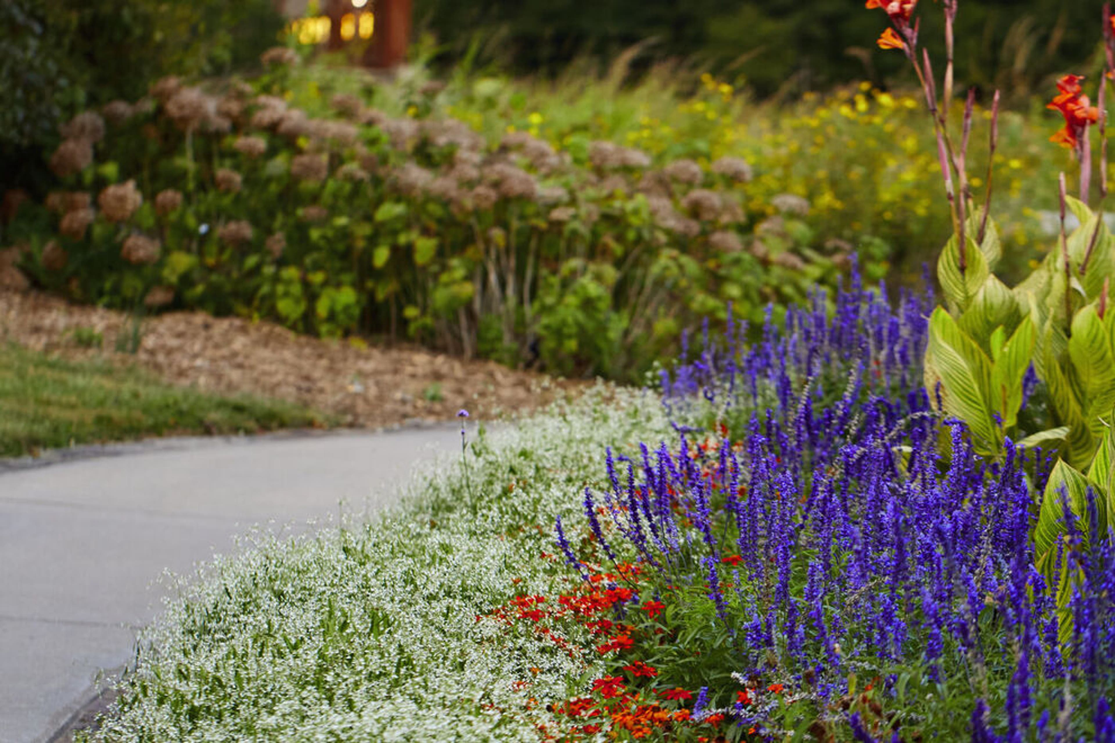 Powell Gardens