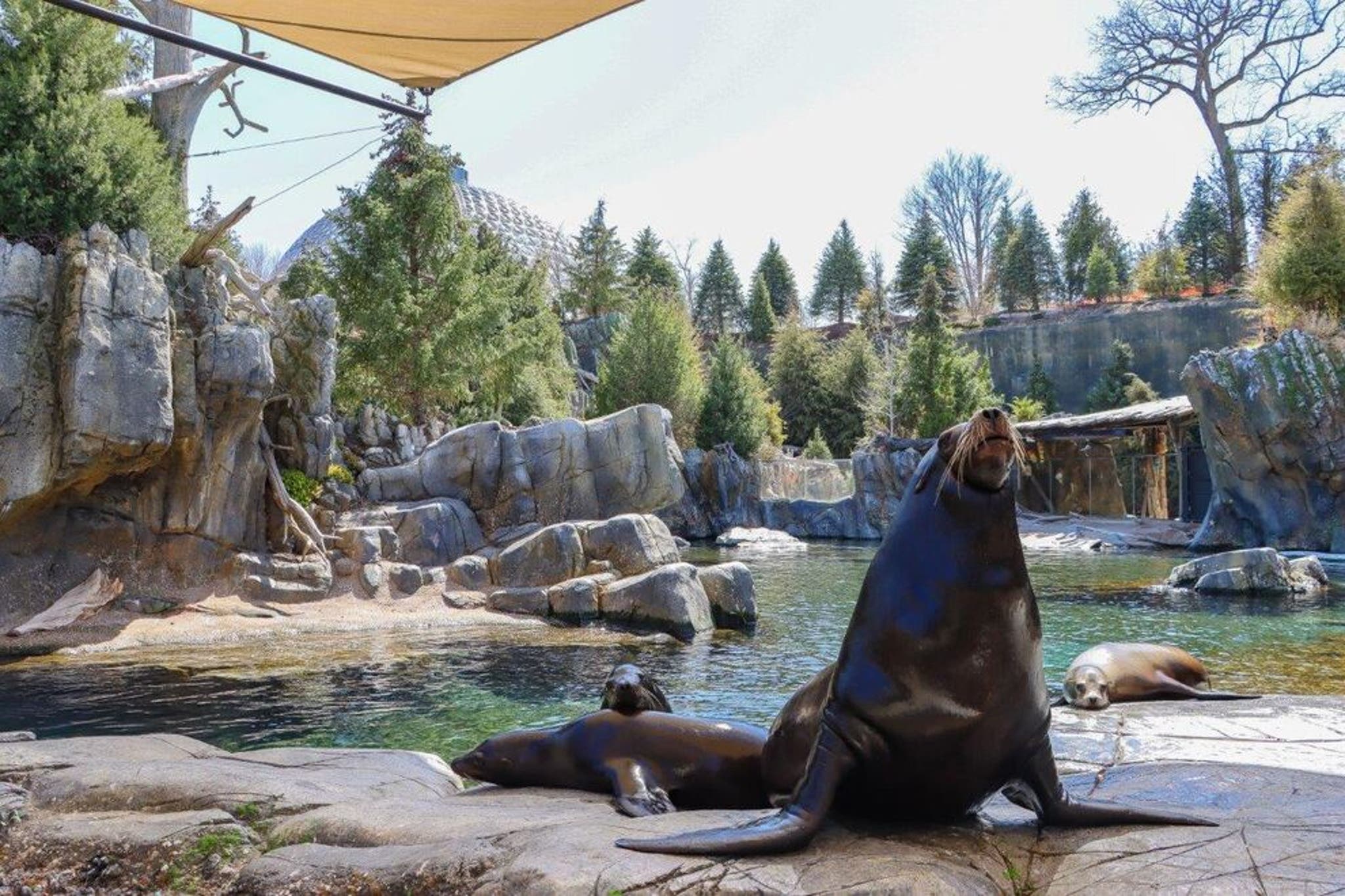 10 best zoo memberships at zoos across the US