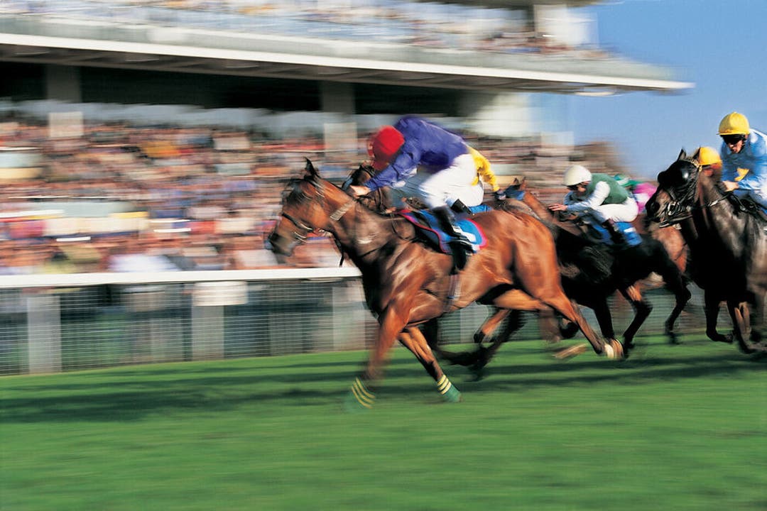 10 best horse racing tracks to visit in the US this year