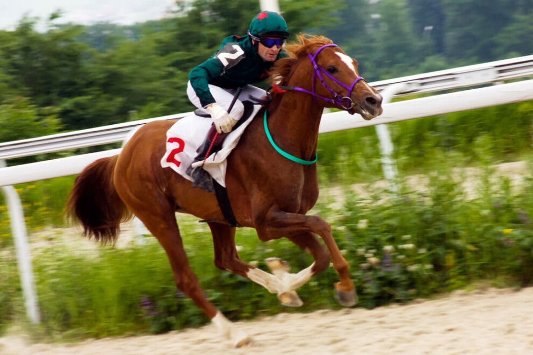 10 best horse racing tracks to visit in the US this year