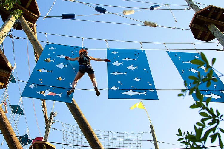 Zip, swing, and climb at the top 10 aerial adventure parks