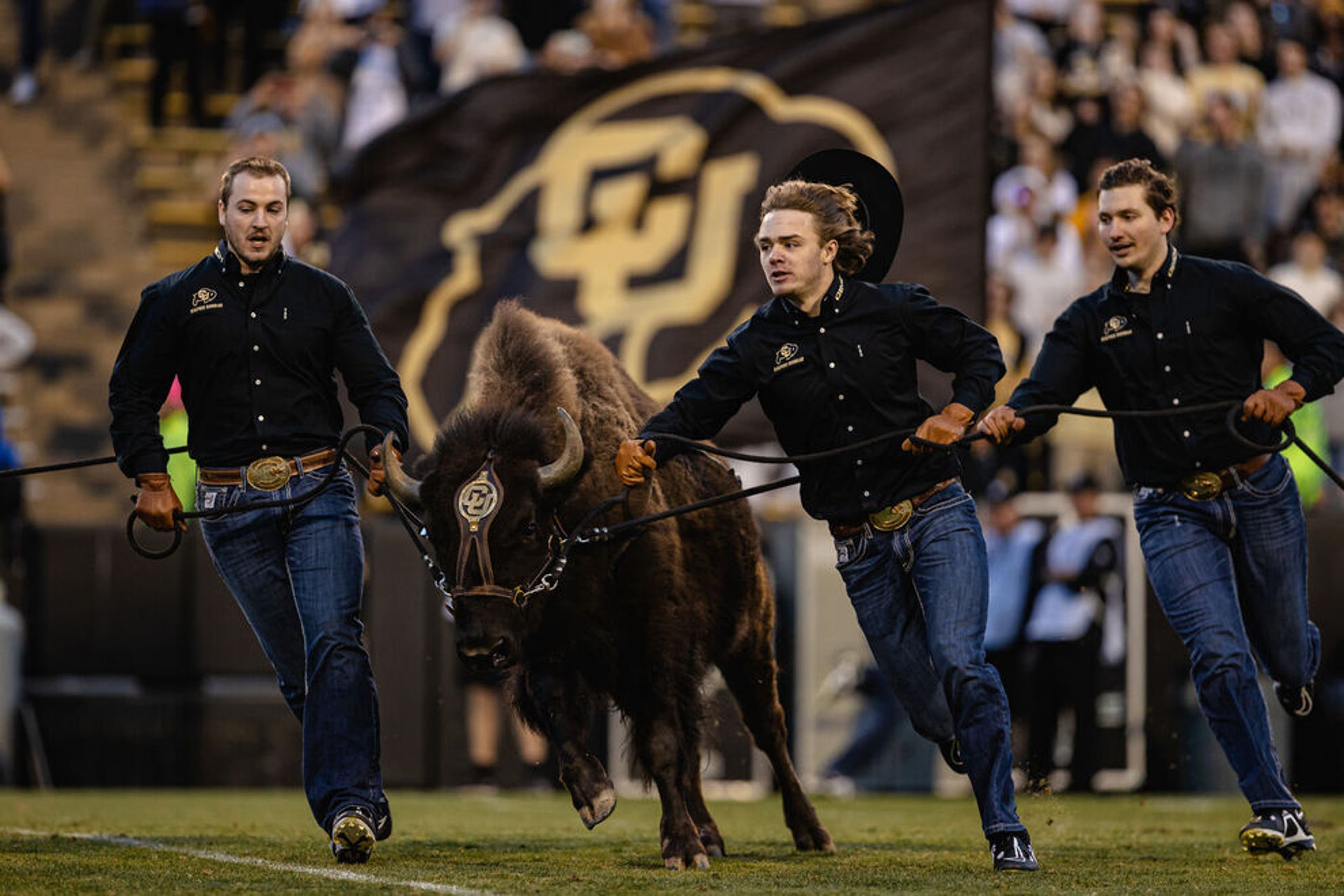 Ralphie's Run: 2025 USA TODAY 10BEST Readers' Choice Awards