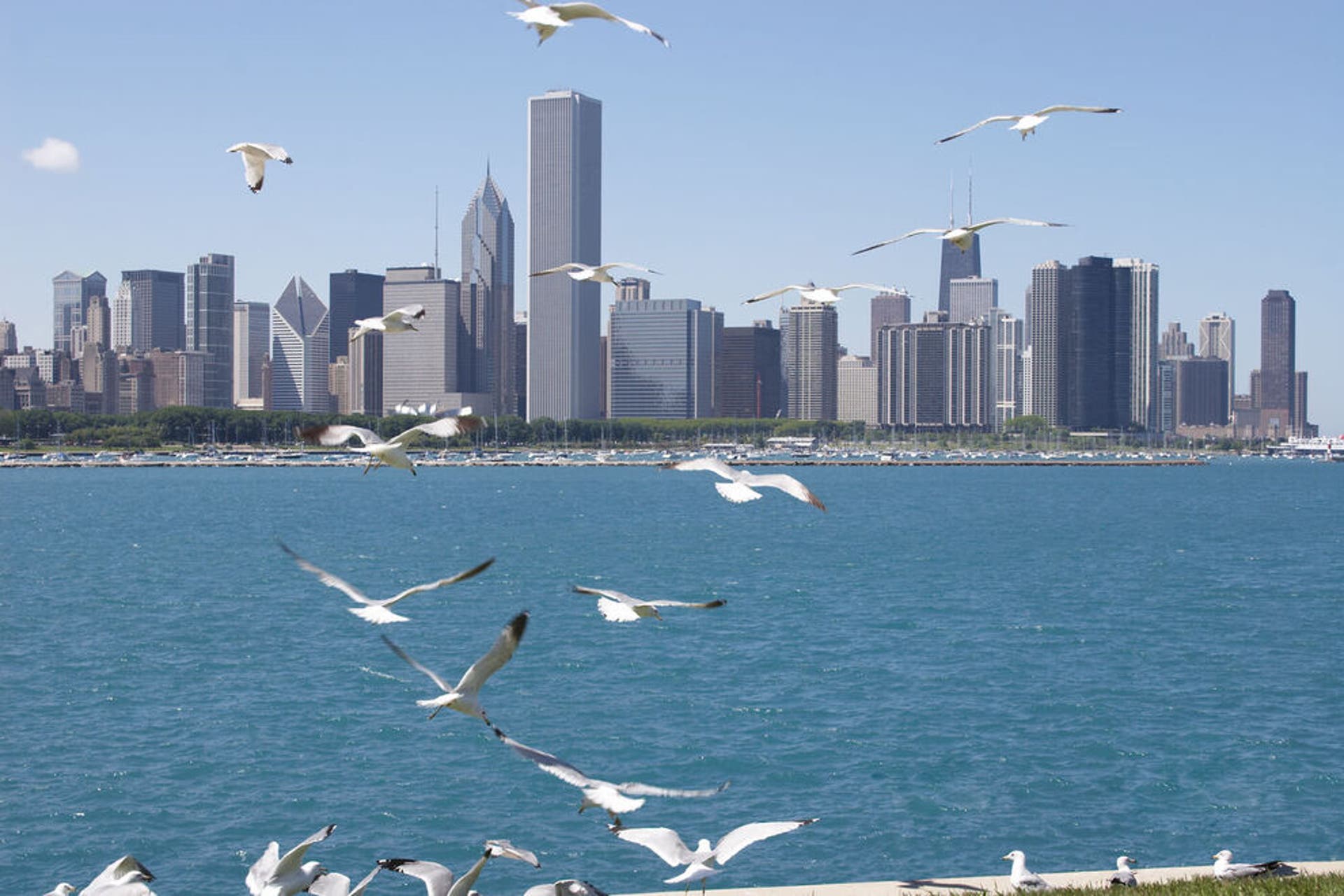 Urban Birder S Field Guide To The 9 Best Cities In The Us For Birding