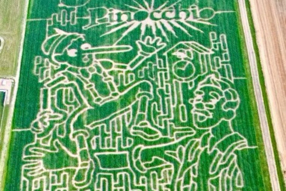 Maze Craze