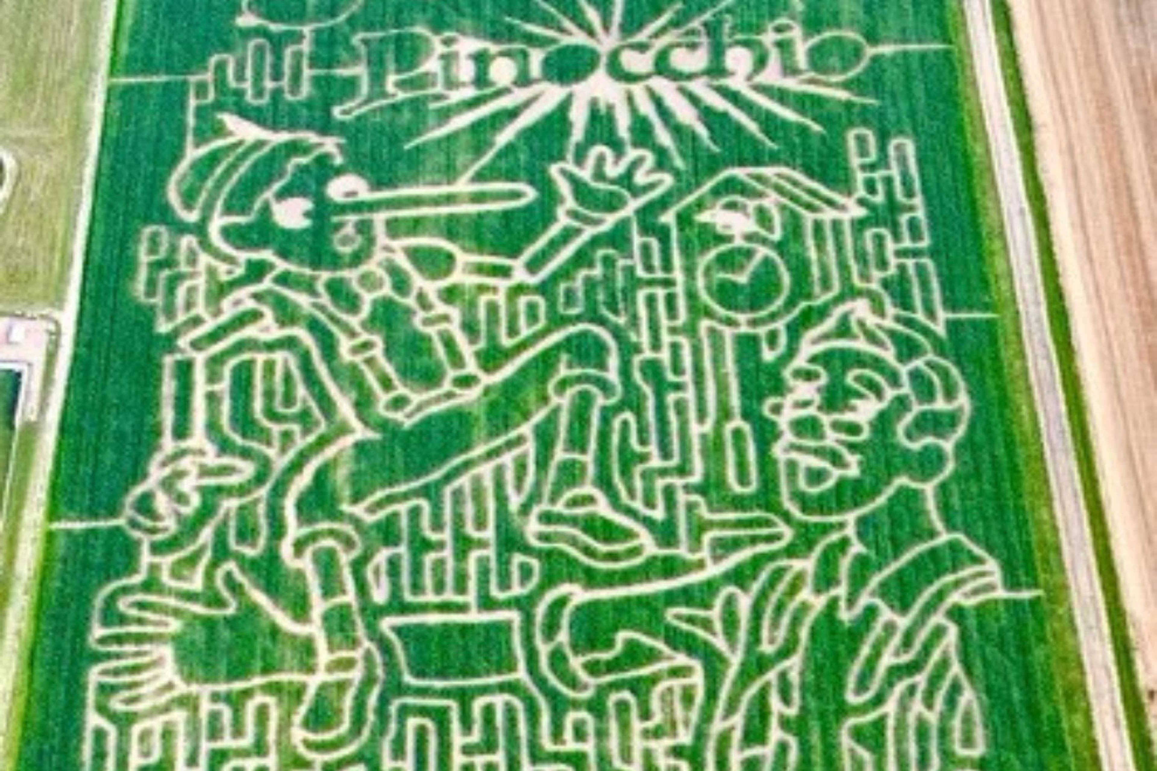 Maze Craze