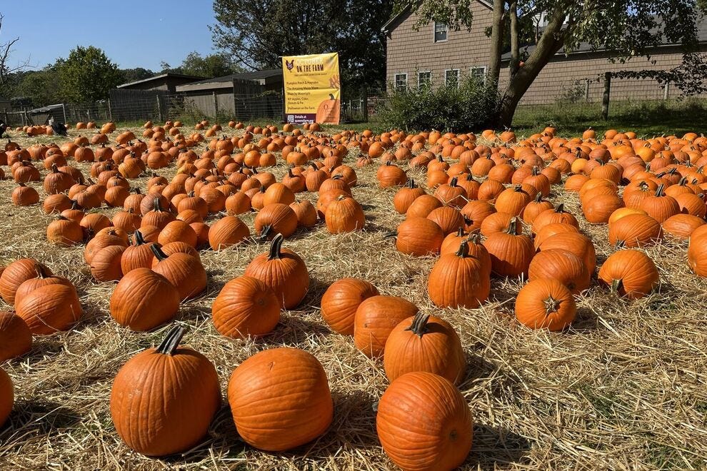 Queens County Farm Museum