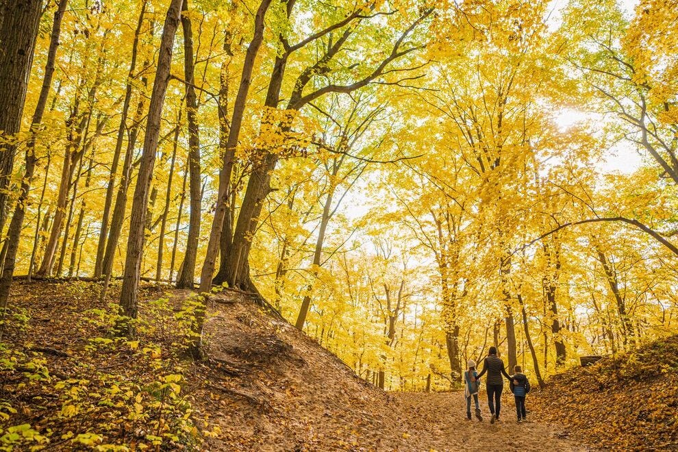 Saugatuck, Michigan, is one of the best places to visit in the fall