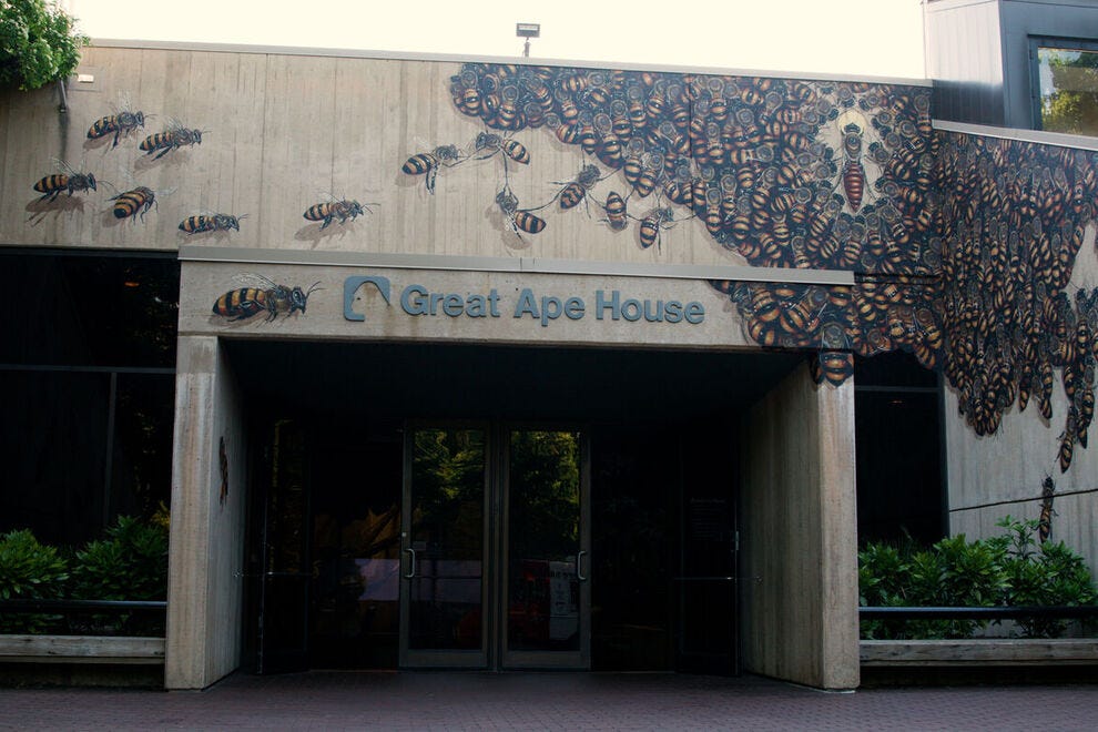 Great Ape House at National Zoo