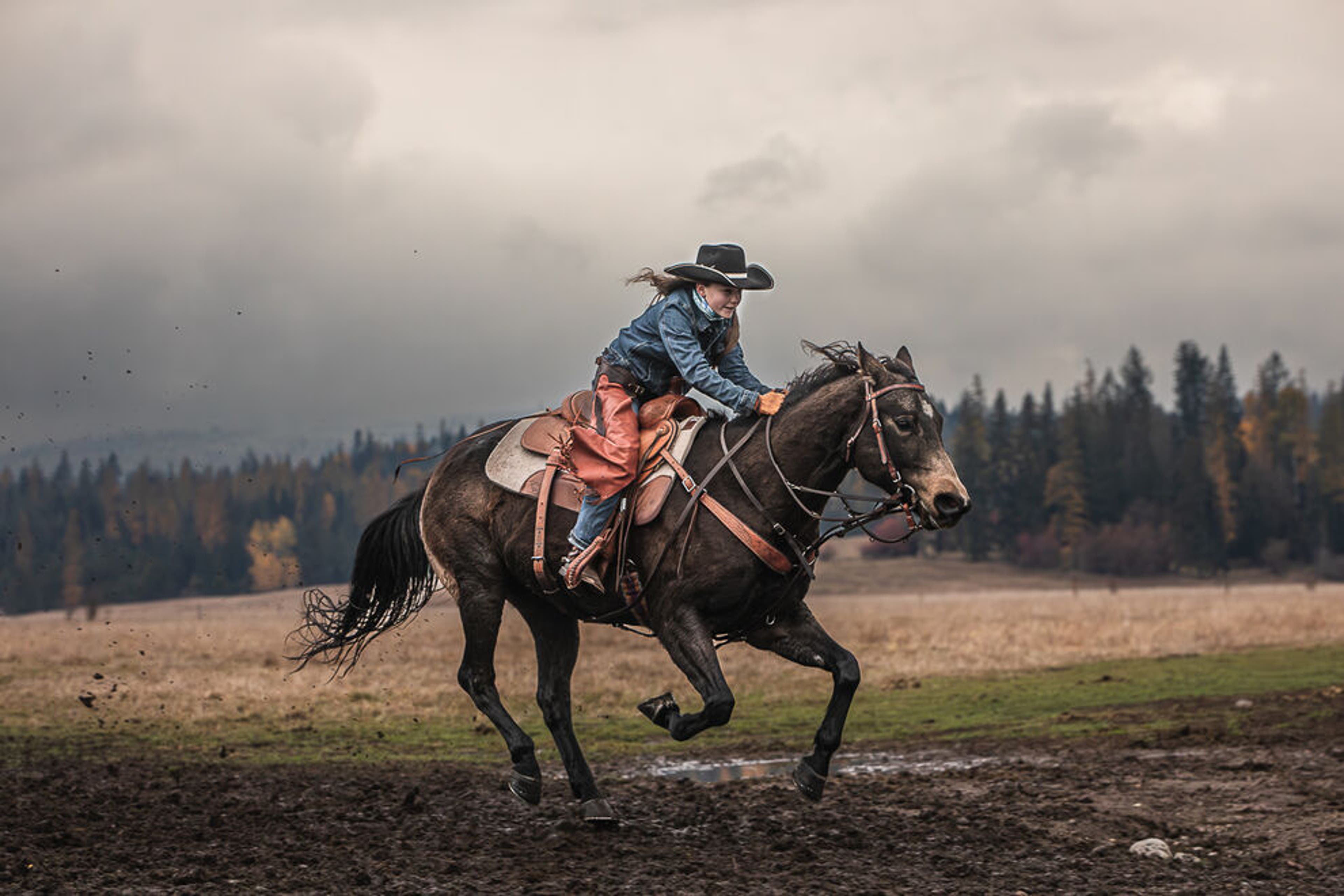 Western Pleasure Guest Ranch