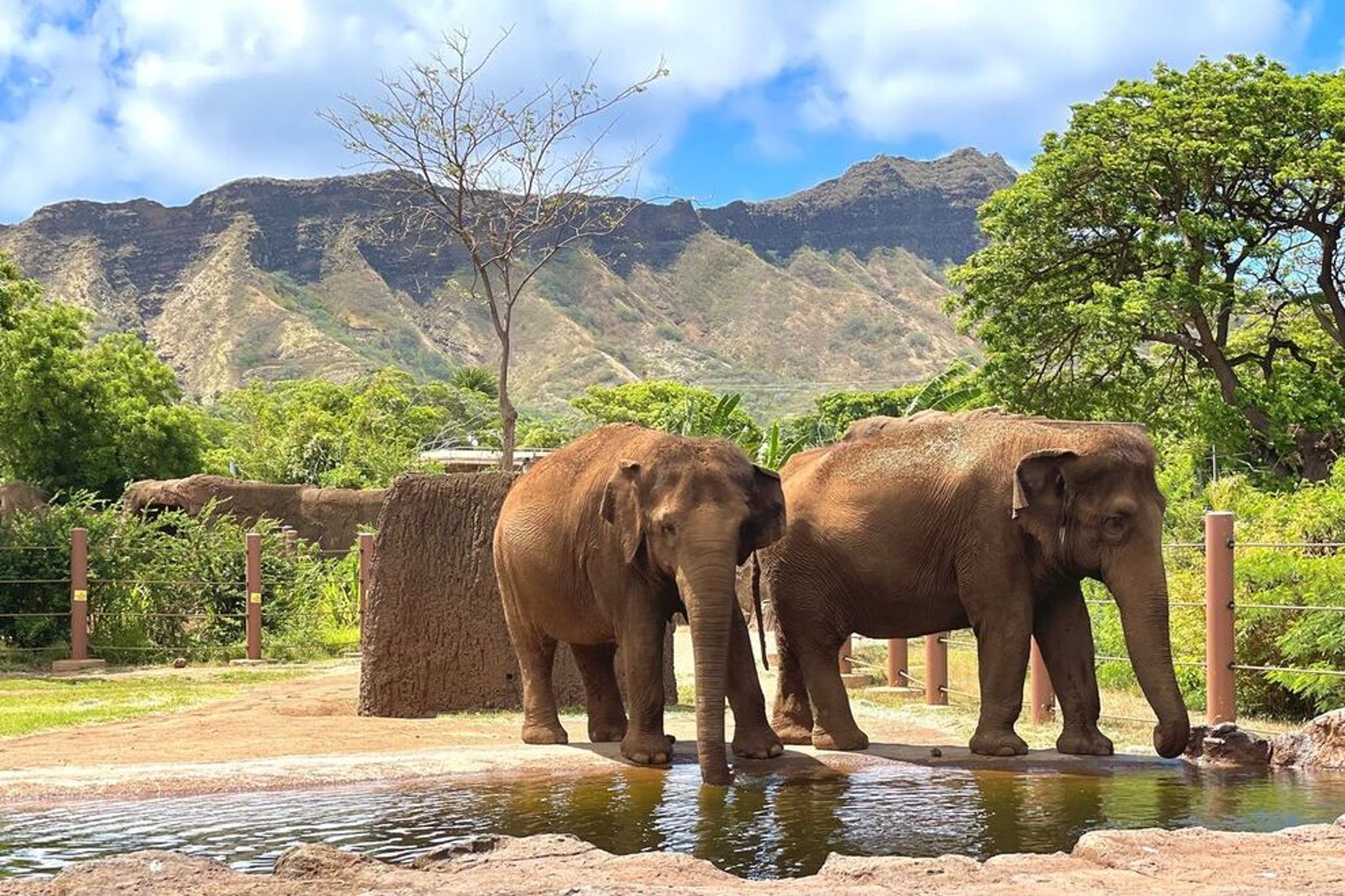 Honolulu Zoo