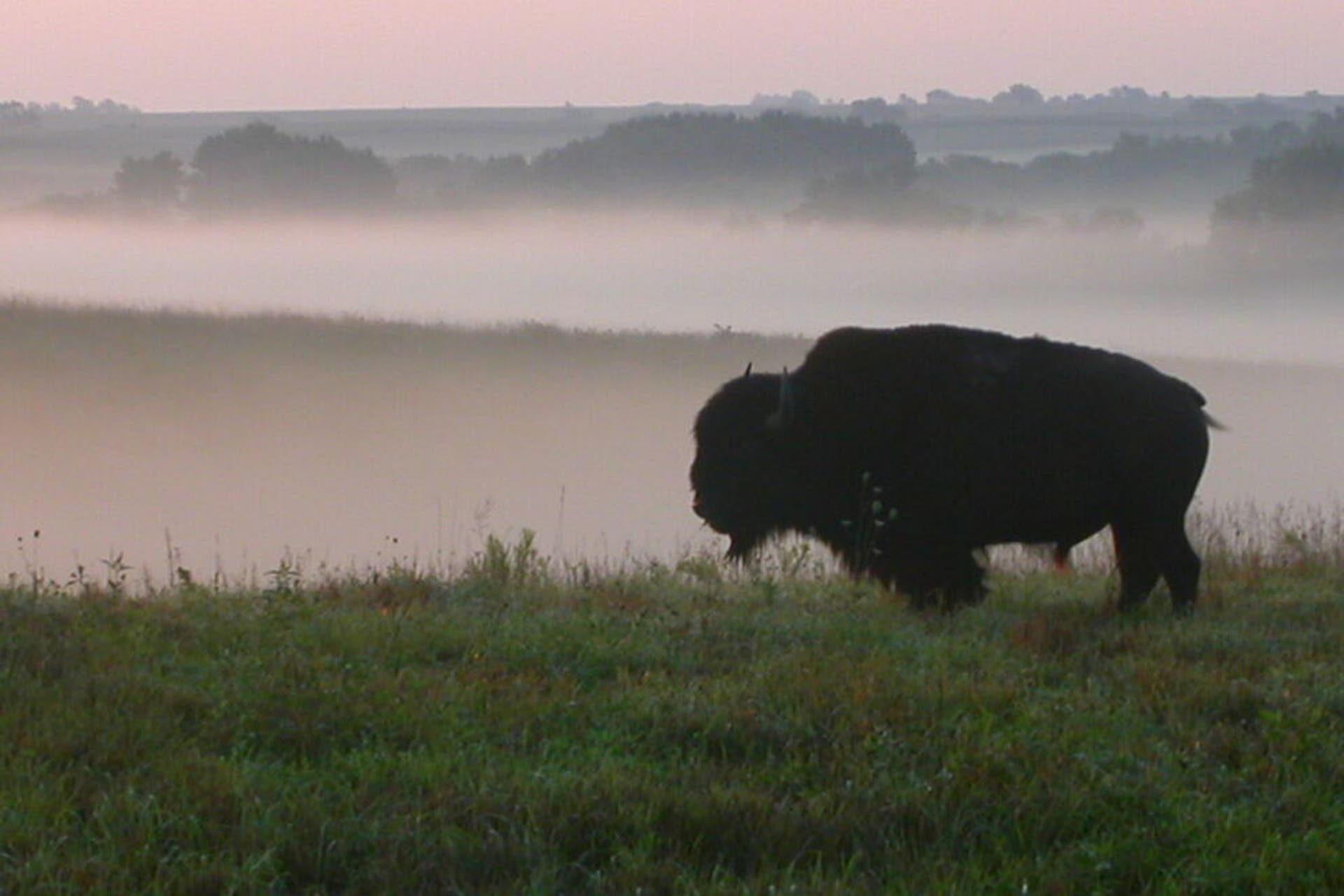 Neal Smith National Wildlife Refuge