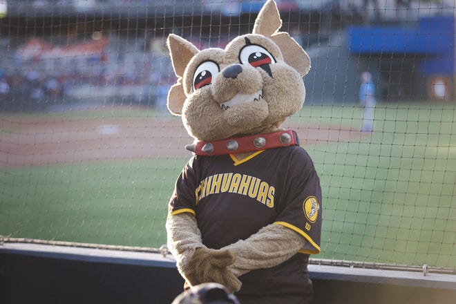 10 best minor league baseball mascots that are a hit with fans