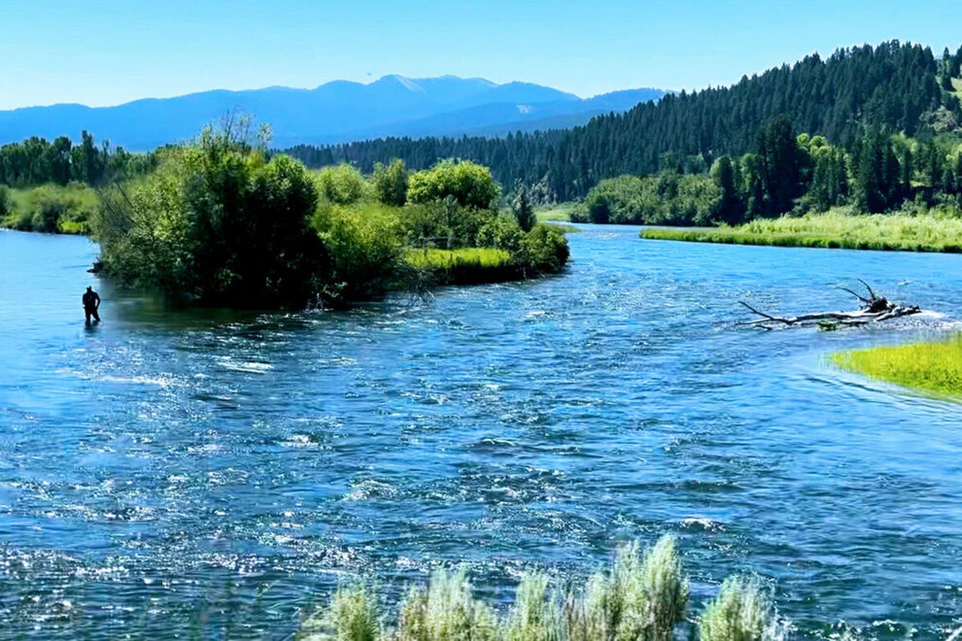 10 best rivers for fly fishing in the US, according to readers