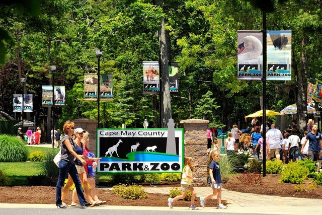 Cape May County Park & Zoo