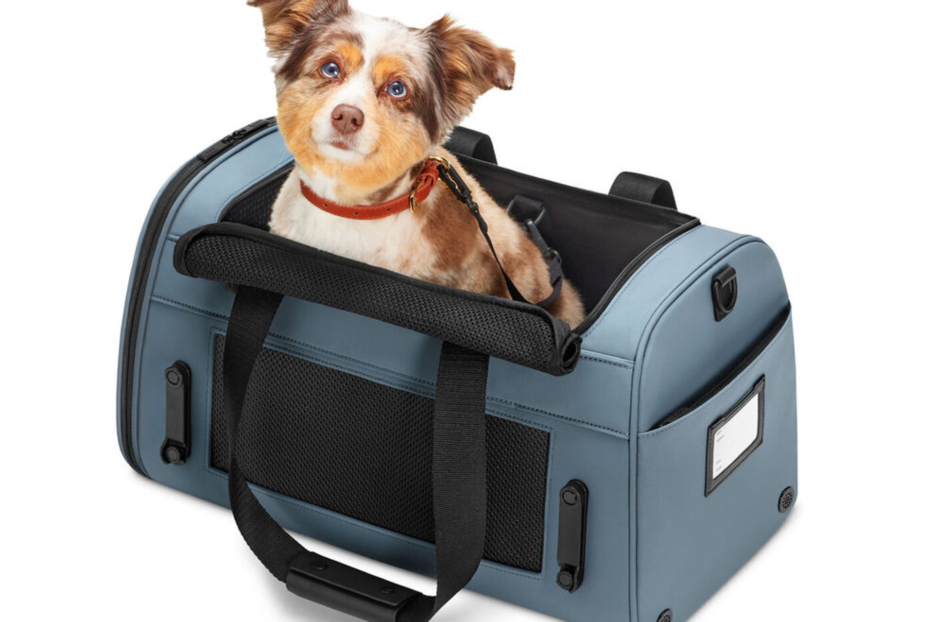 10 top-rated pet carriers for traveling with four-legged friends
