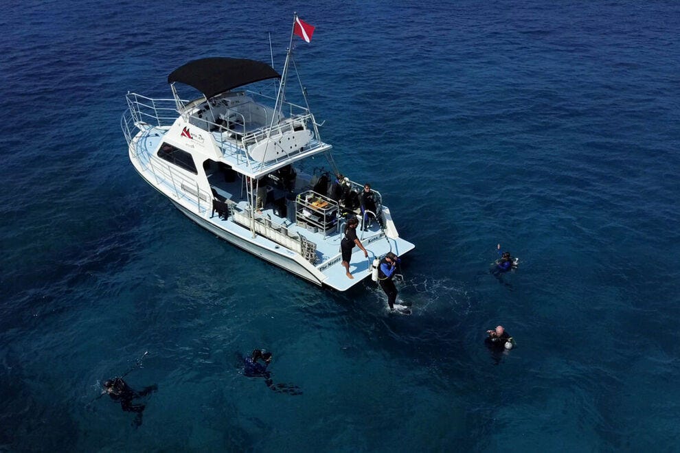 Manta Ray Dives of Hawaii