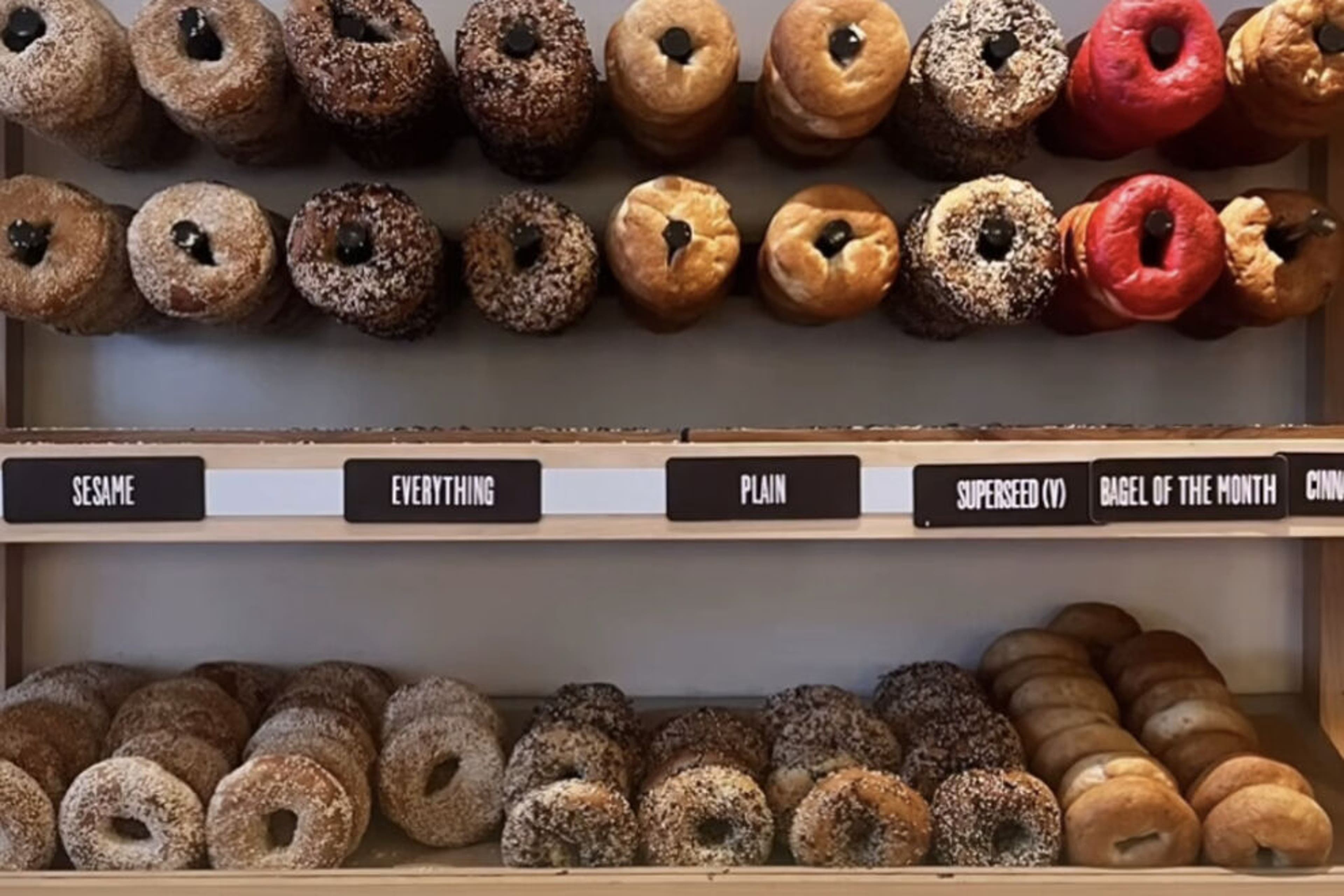 Modern Bread and Bagel