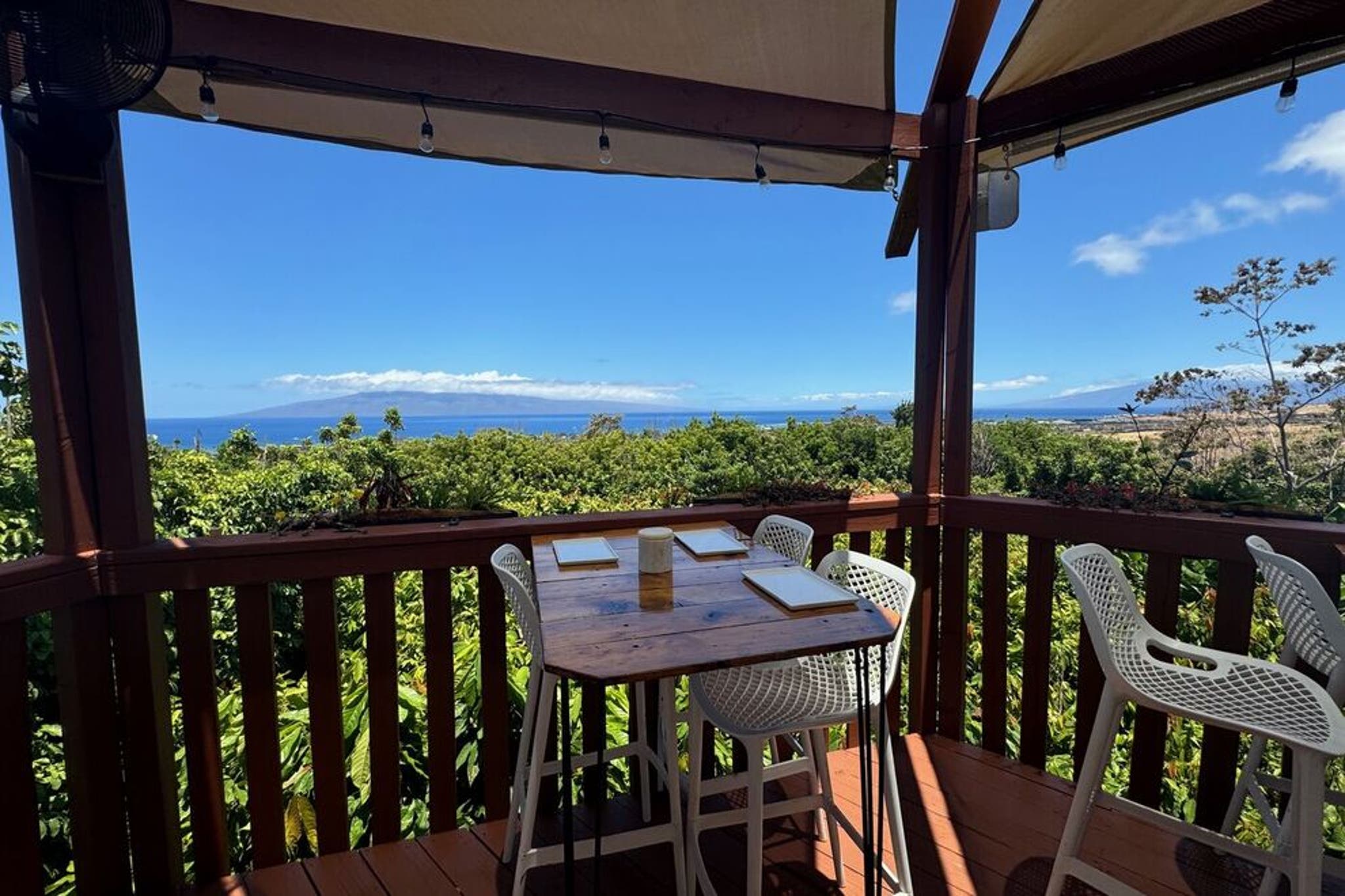 8 fun things to do with kids in Maui and why now is the time to visit