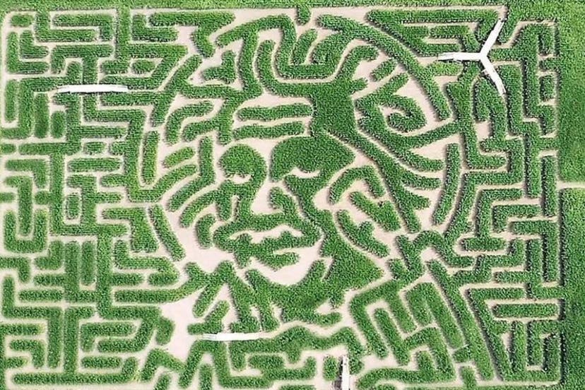 Davis Mega Maze
