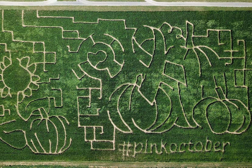10 best corn mazes in the US you won't want to miss this fall