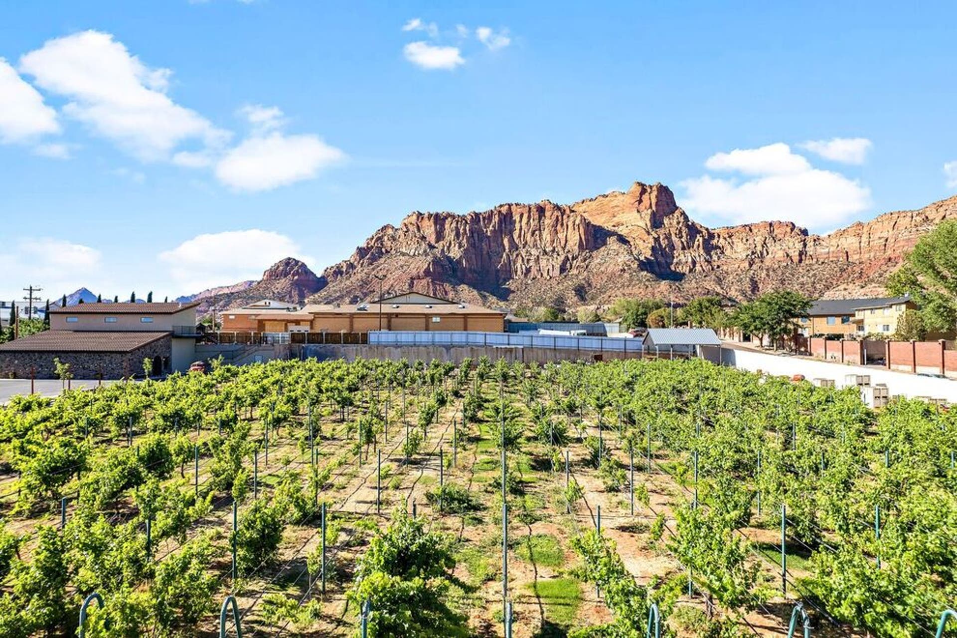 10 affordable US wine regions that aren't Napa Valley